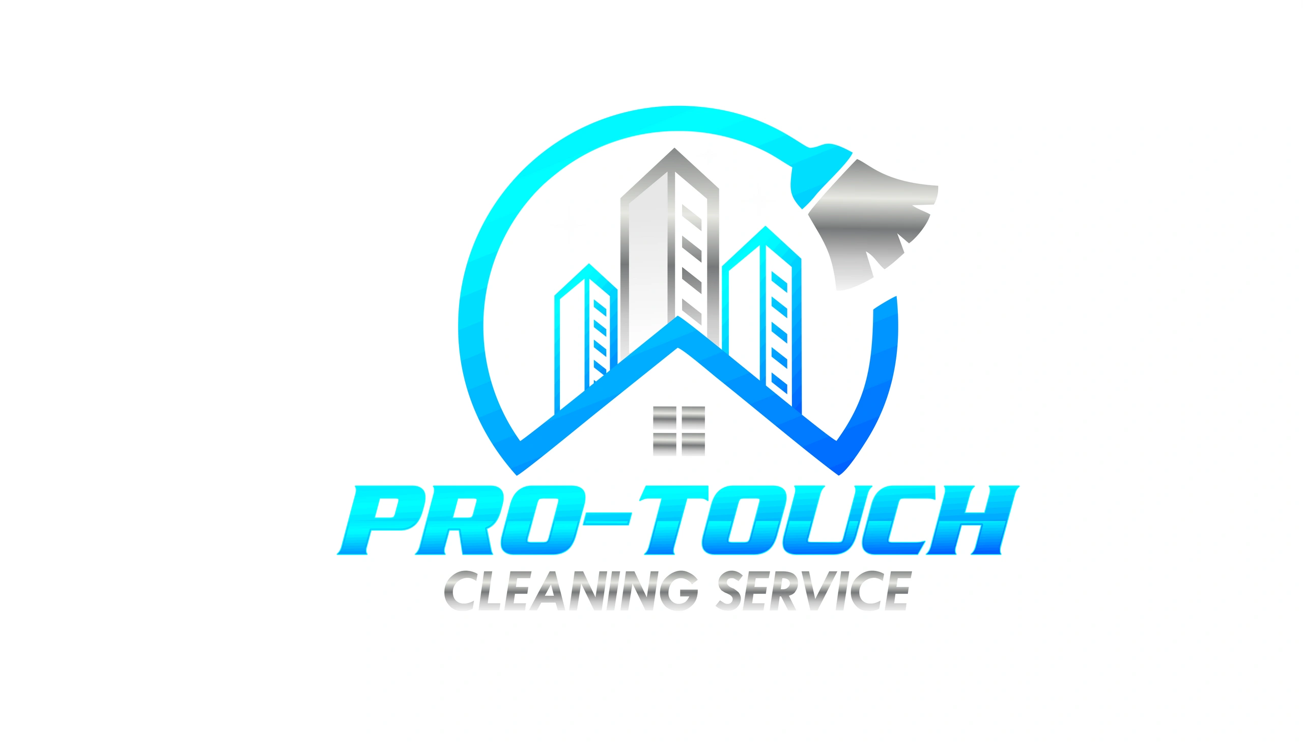 PRO-TOUCH CLEANING SERVICE - Home