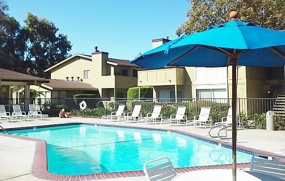 Apartment for Rent - The Foothills