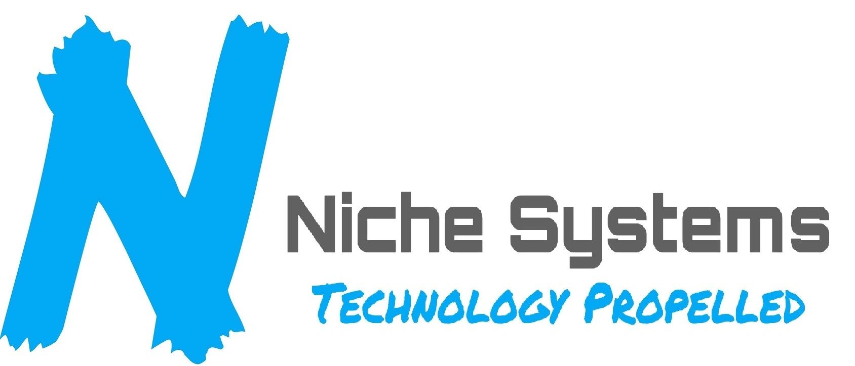 NICHE SYSTEMS | Technology Propelled