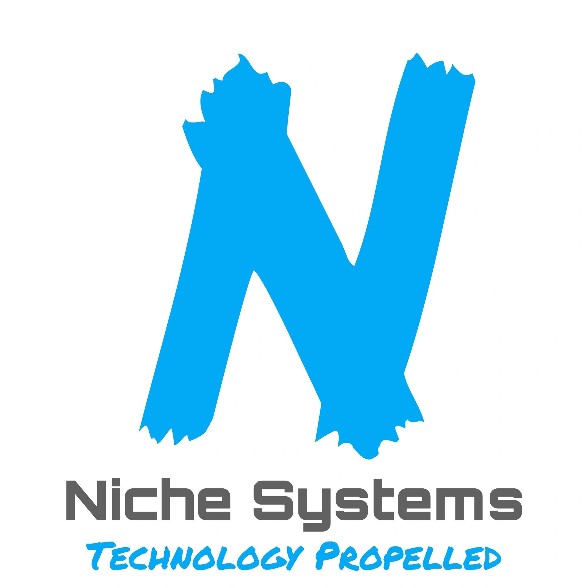 NICHE SYSTEMS