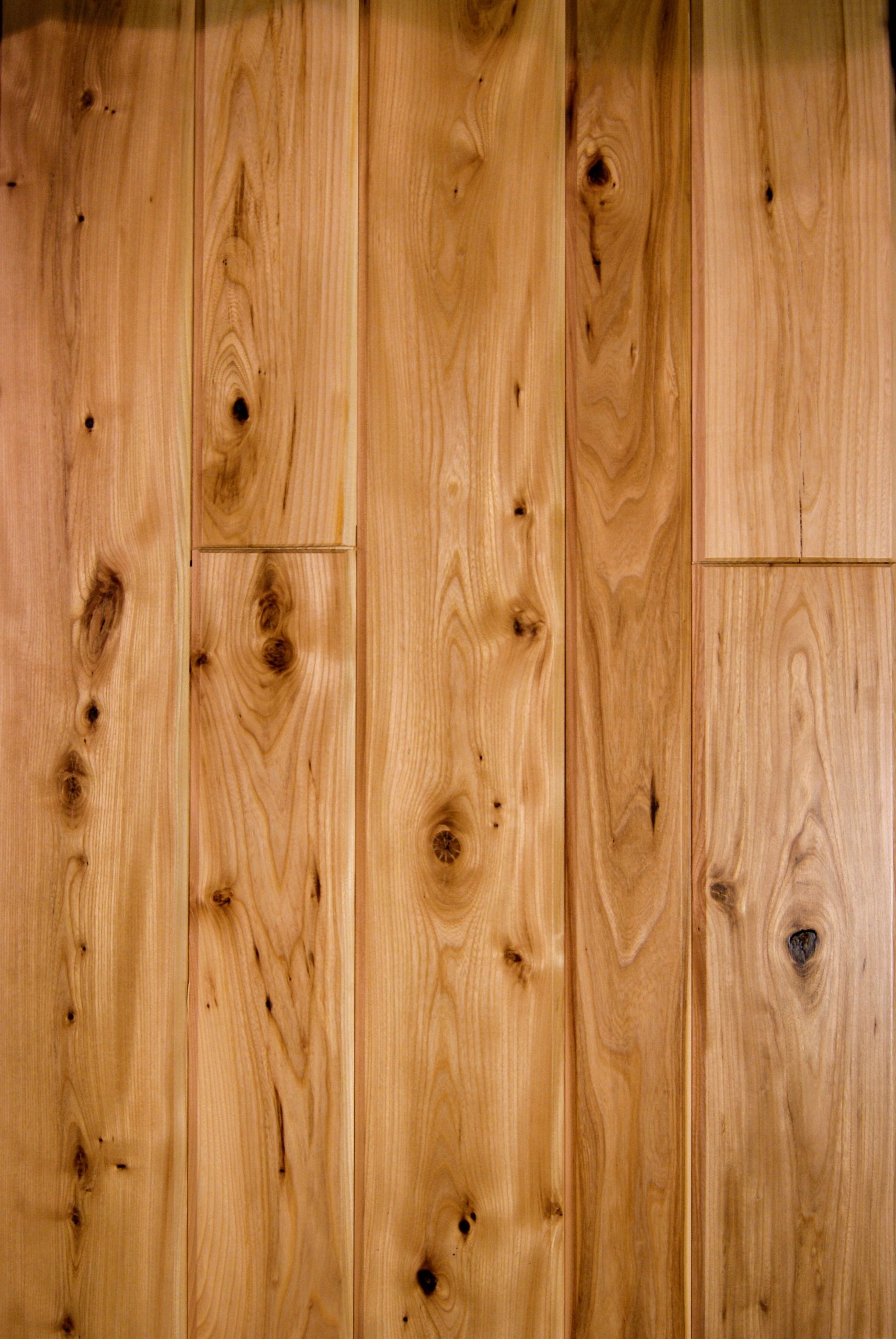 Native Elm from MTM