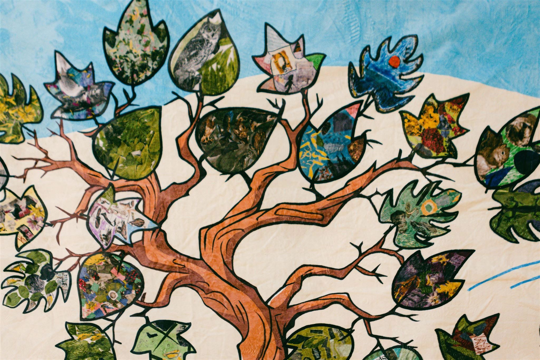 Textiles and Rugs in a School Library