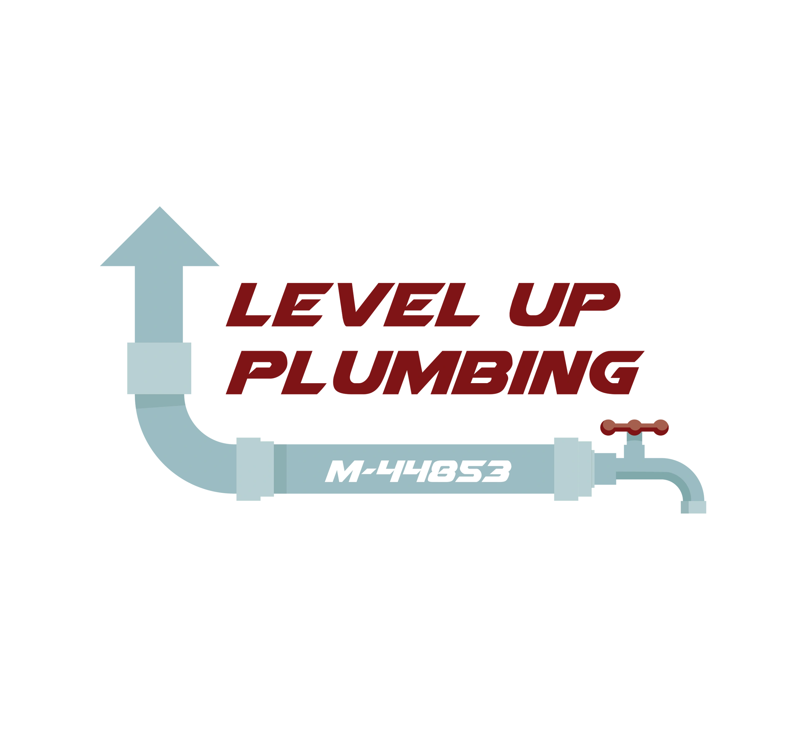 Professional Plumbing Service