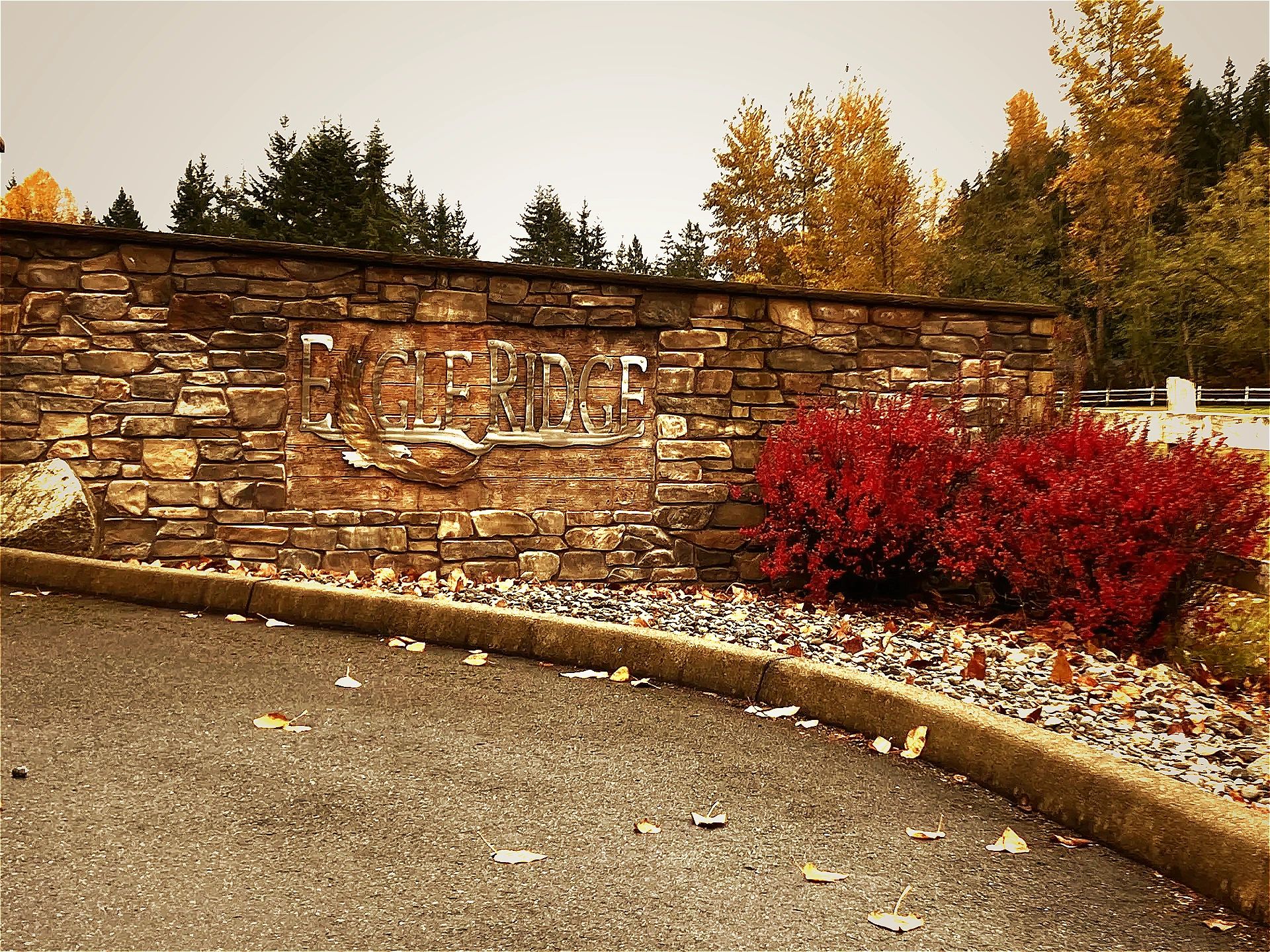 Welcome to Eagle Ridge HOA