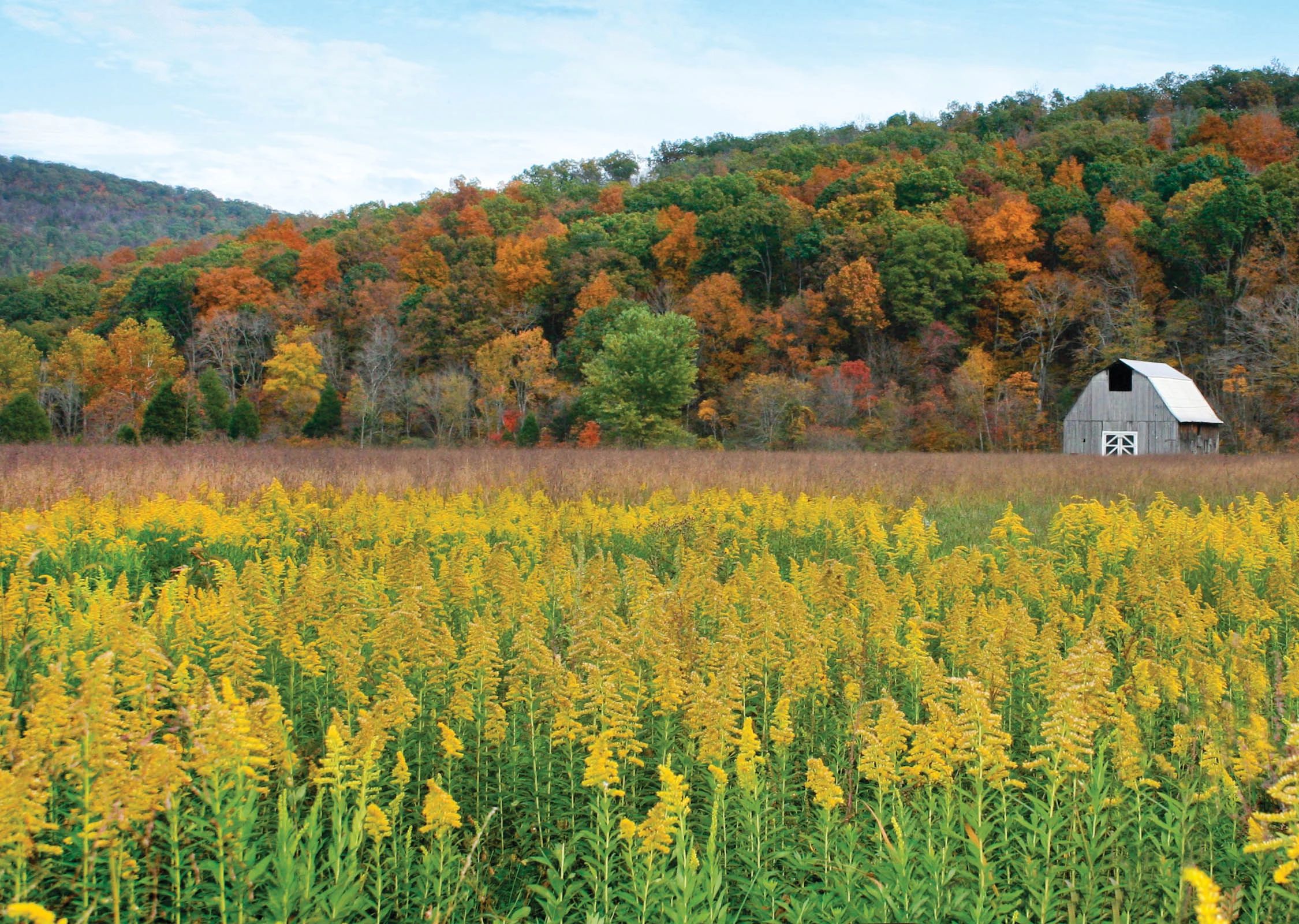 Scenic View Calendars
