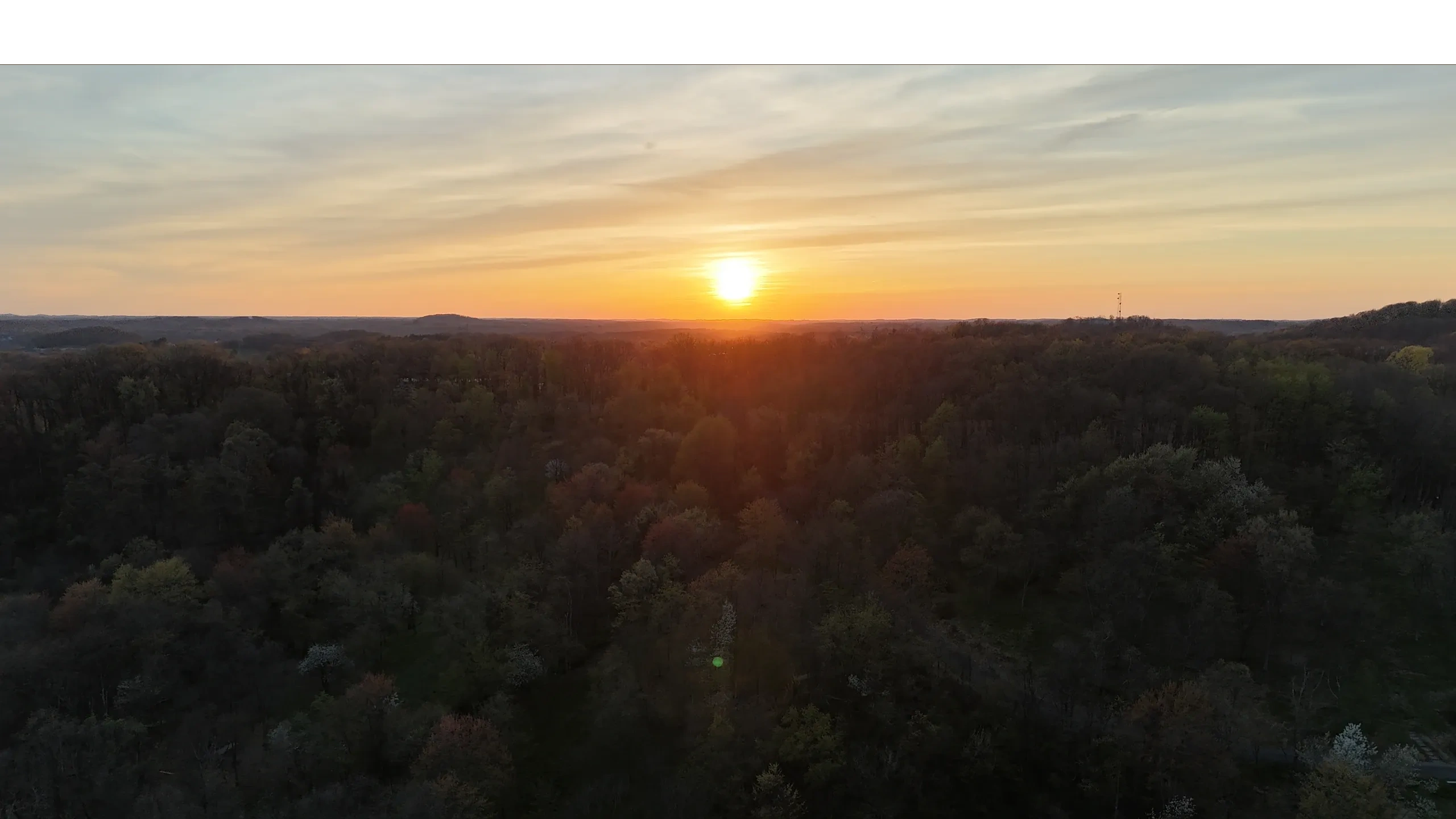 Andrew Heary website