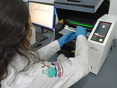PANEL AUTOINMUNE | BAMSA