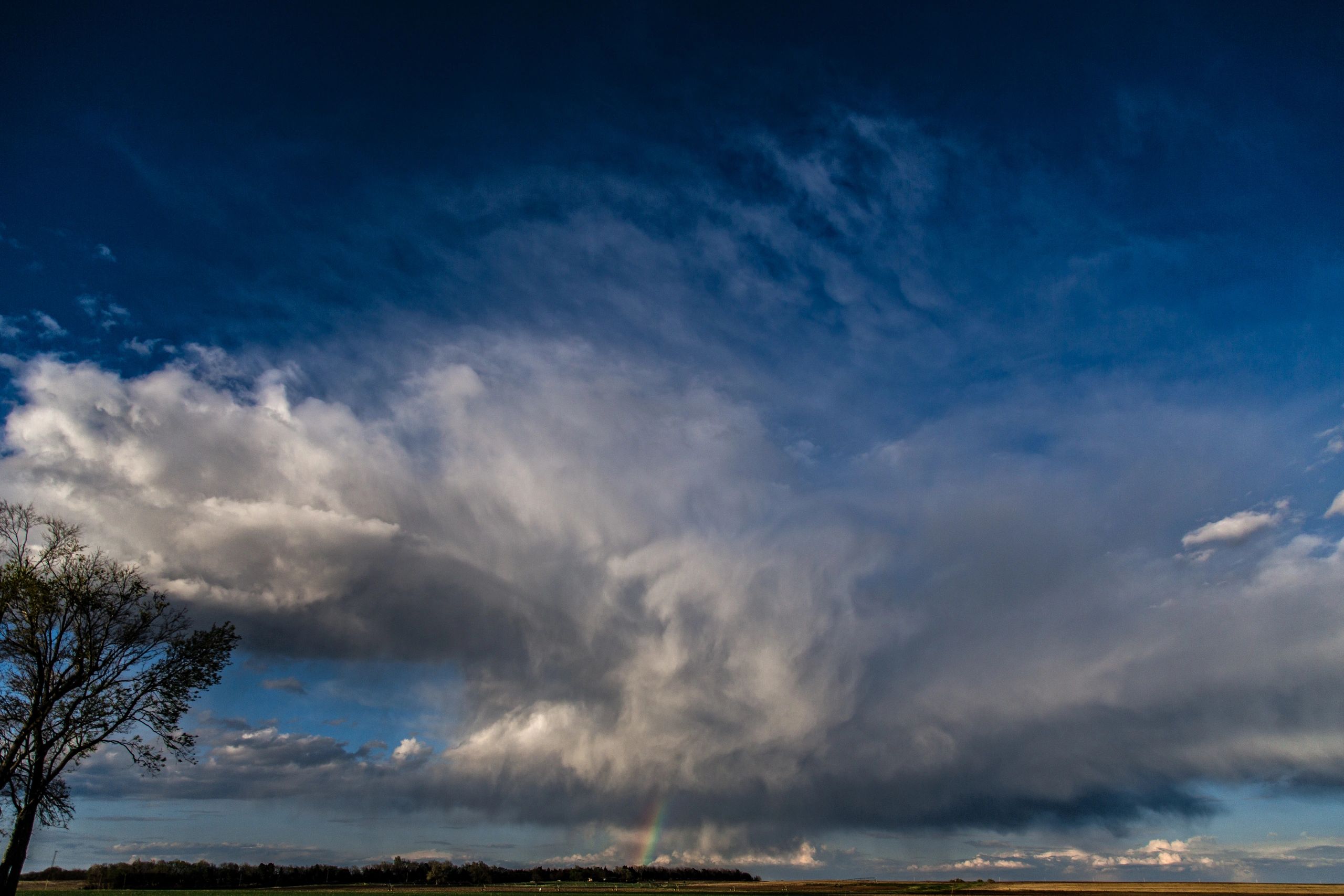 JD Images and Design