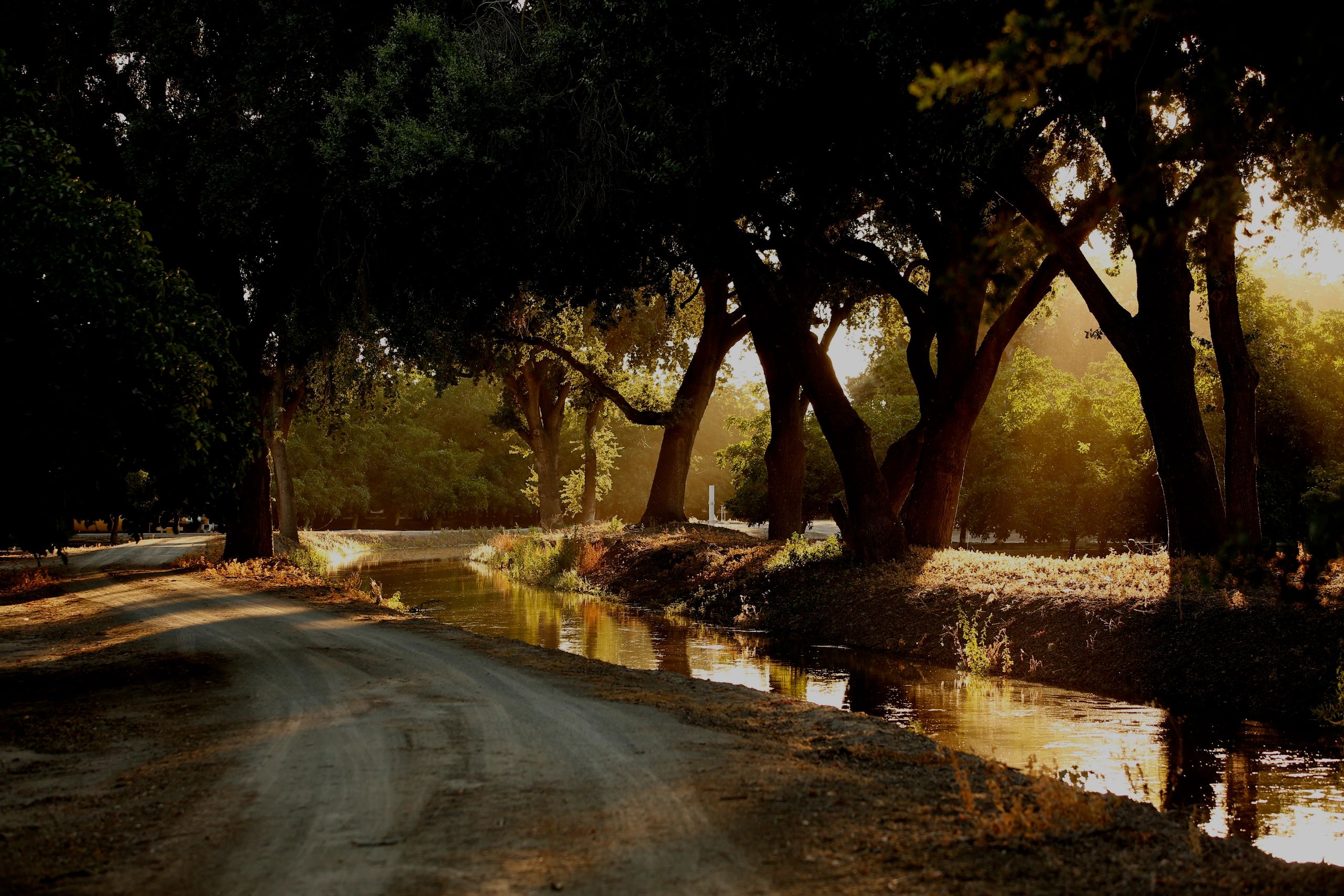 The Flavor Tree Fruit Company, LLC