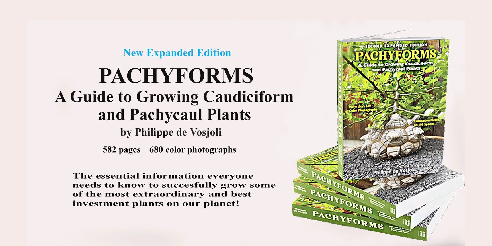 Bestselling book on succulents with caudex