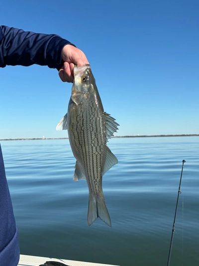 North Texas Fishing Guides