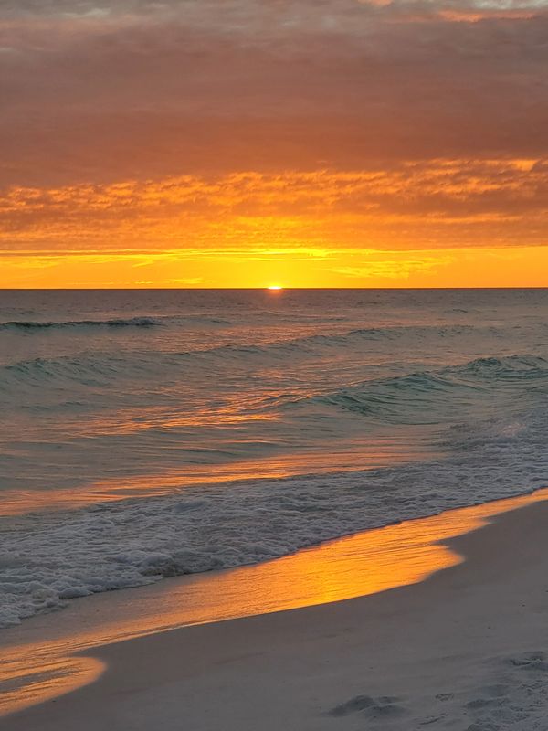 Taxi, Transportation - Miramar Beach Shuttle - Miramar Beach, Florida