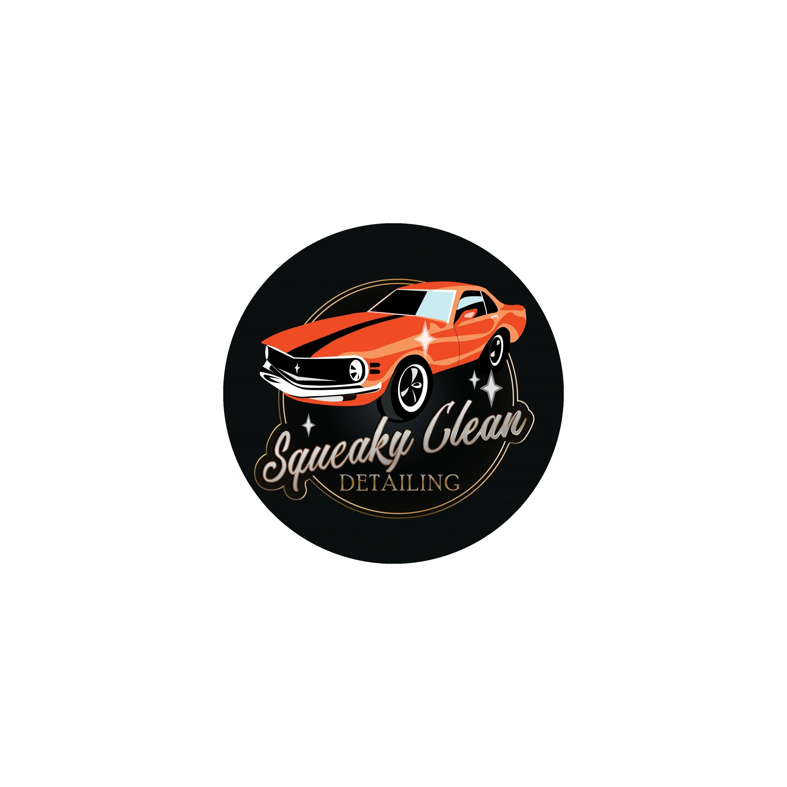 Squeaky Clean Detailing Gold Coast ~ Quality Car Care ~ Mould Removal ...