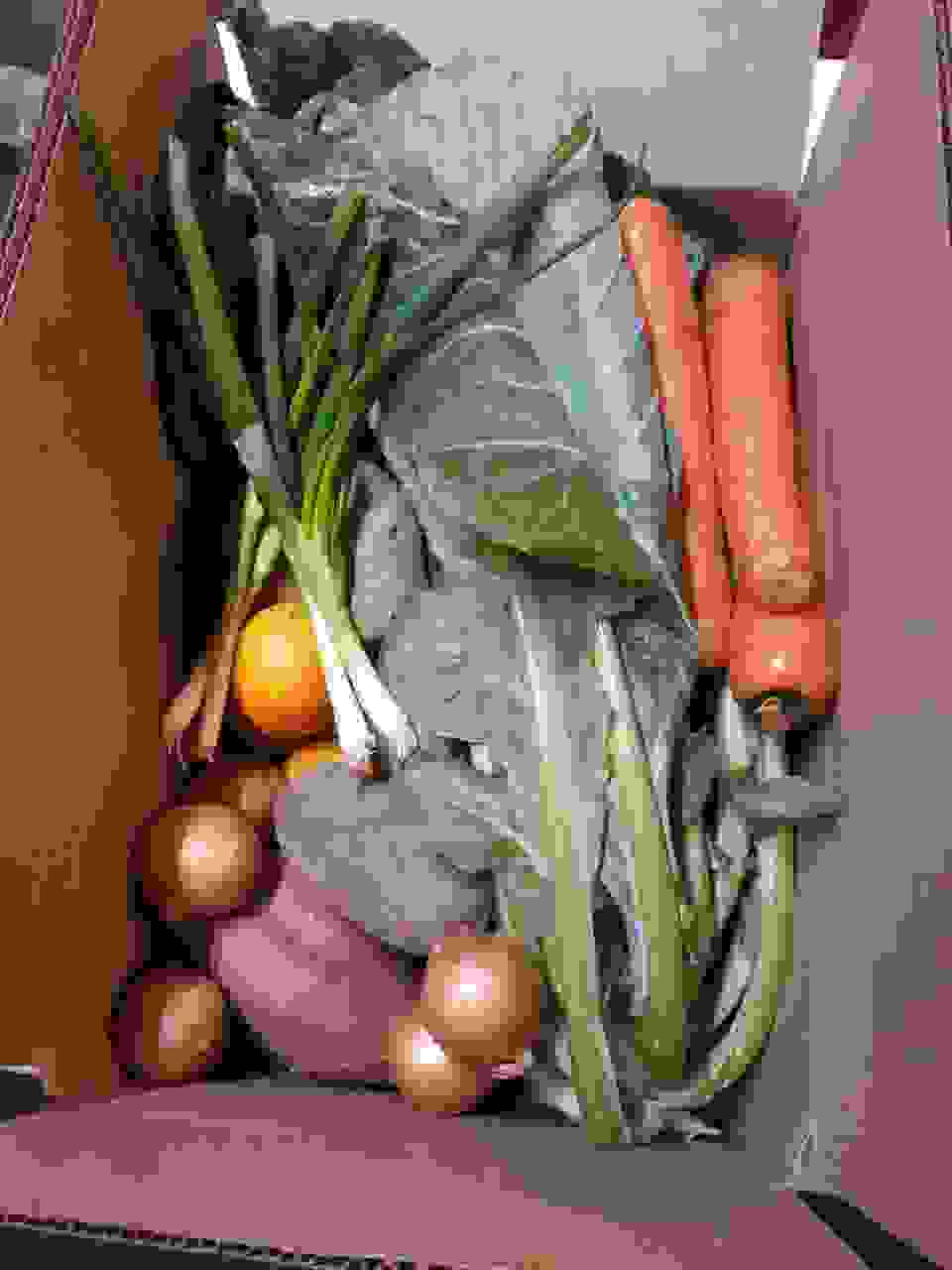 CSA Boxes | Gabor Farms