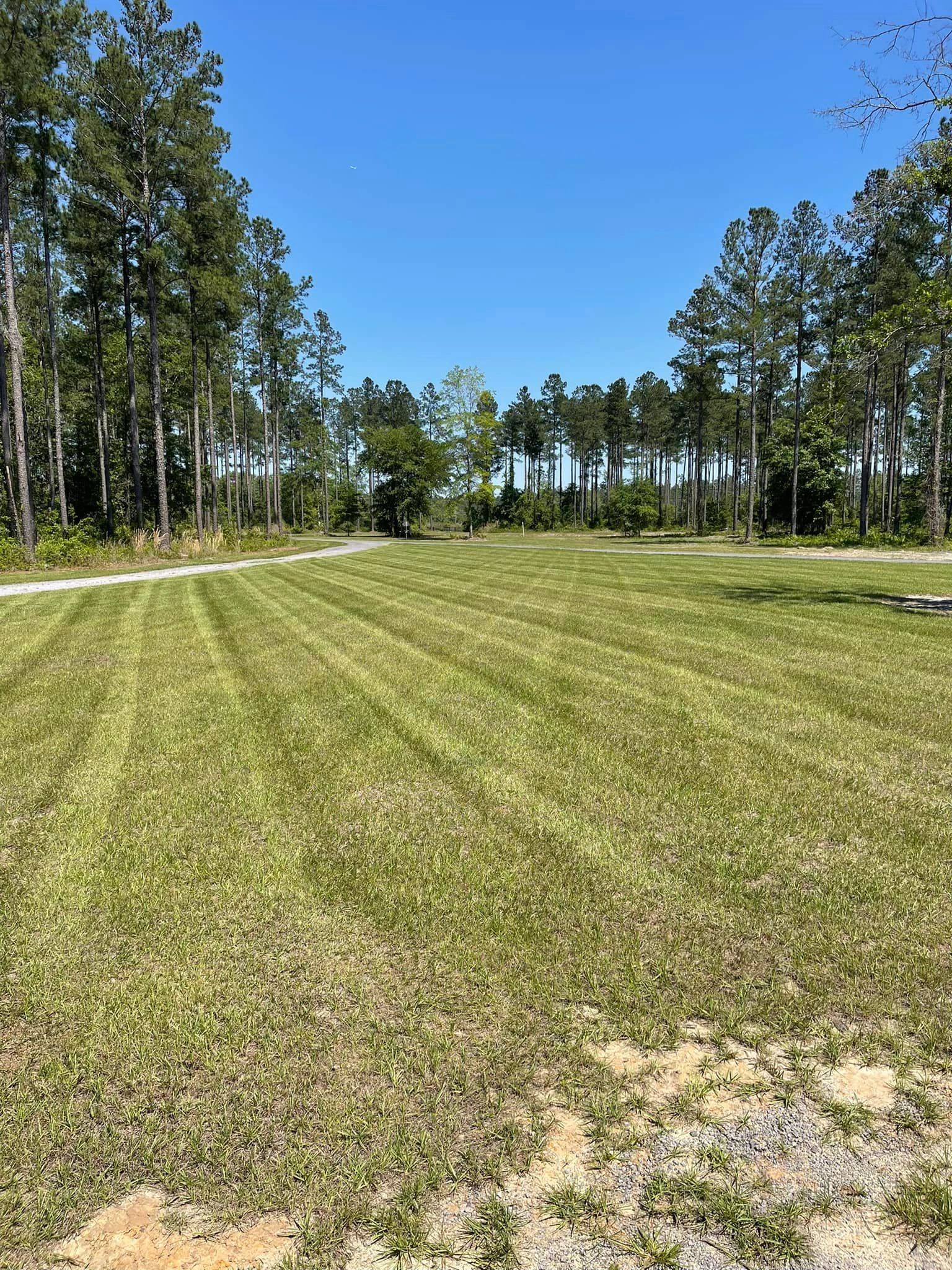 Expert Lawn and Tree Care Services