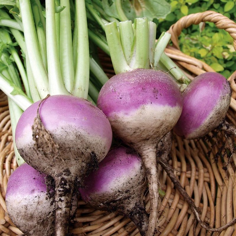 Turnips