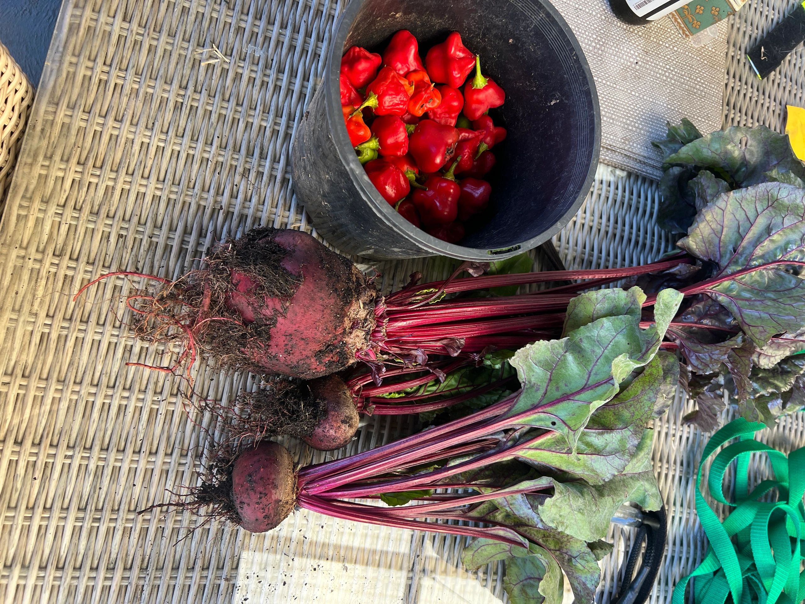 Beetroot, ya can’t beat em!