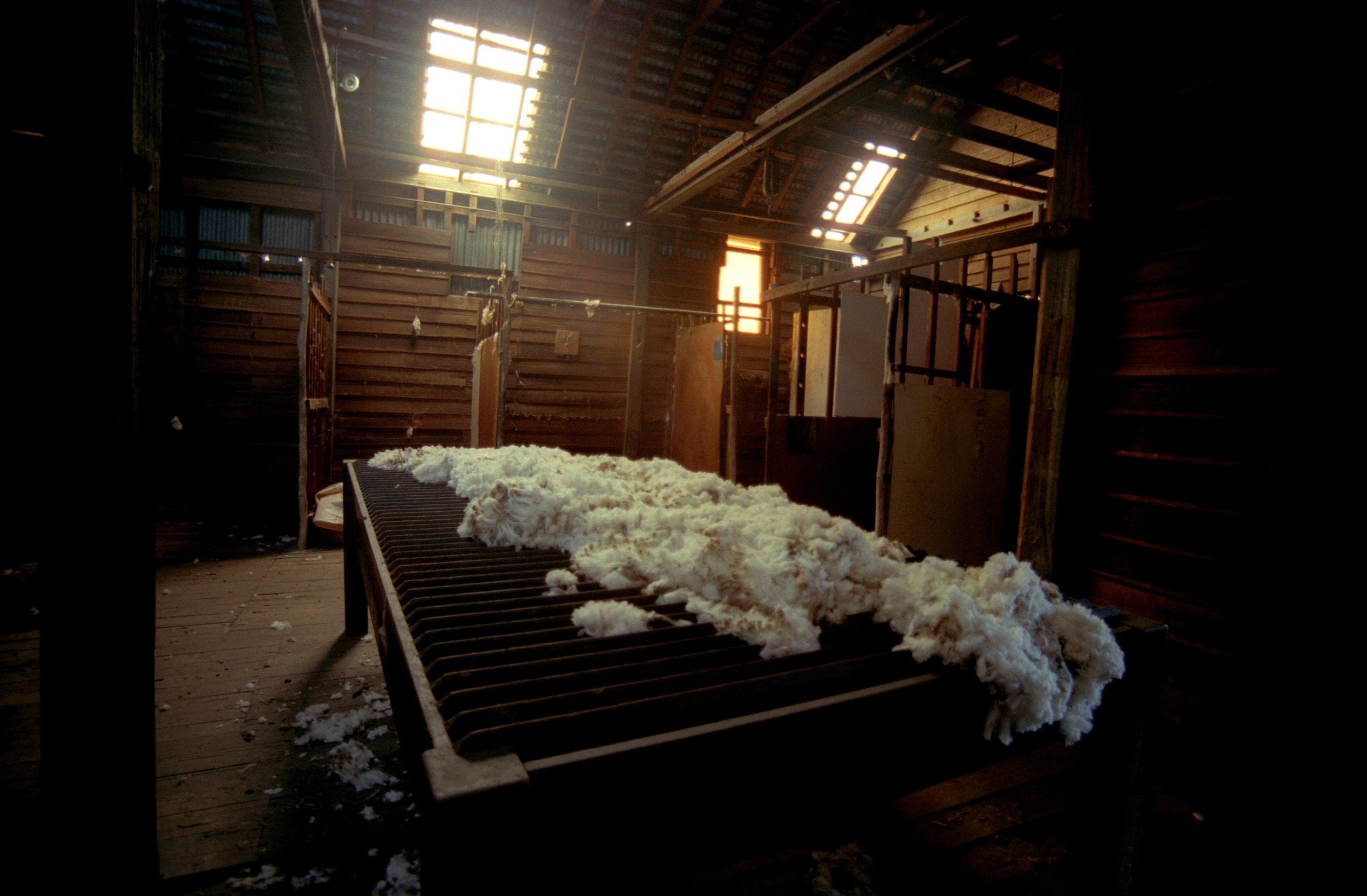 Shop MPK Wool Tables