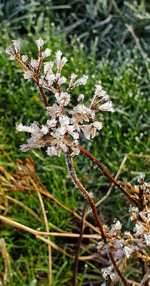 Torrisholme Methodist - Home