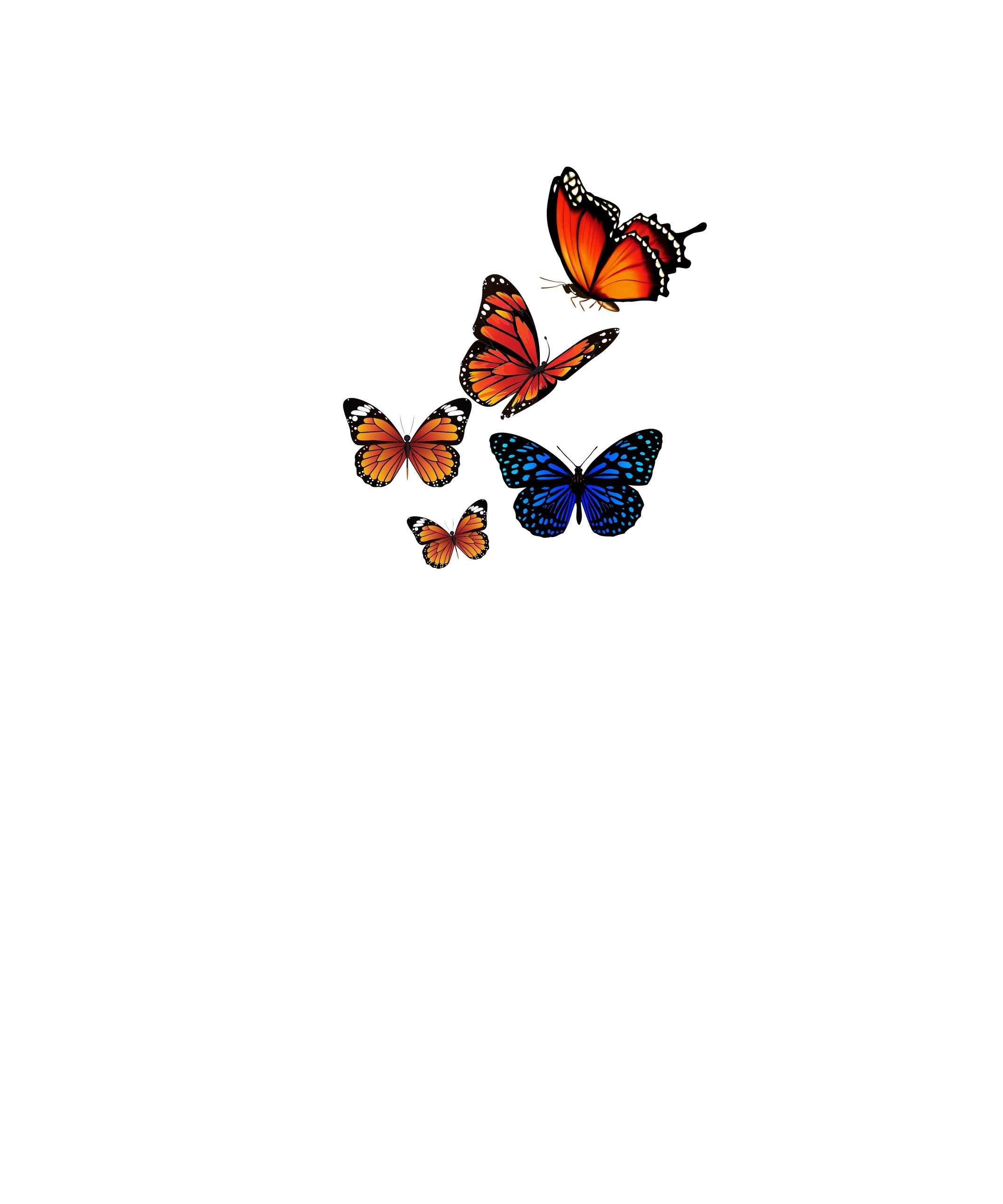 Rachel the Astrologer - Astrology Readings & Coaching