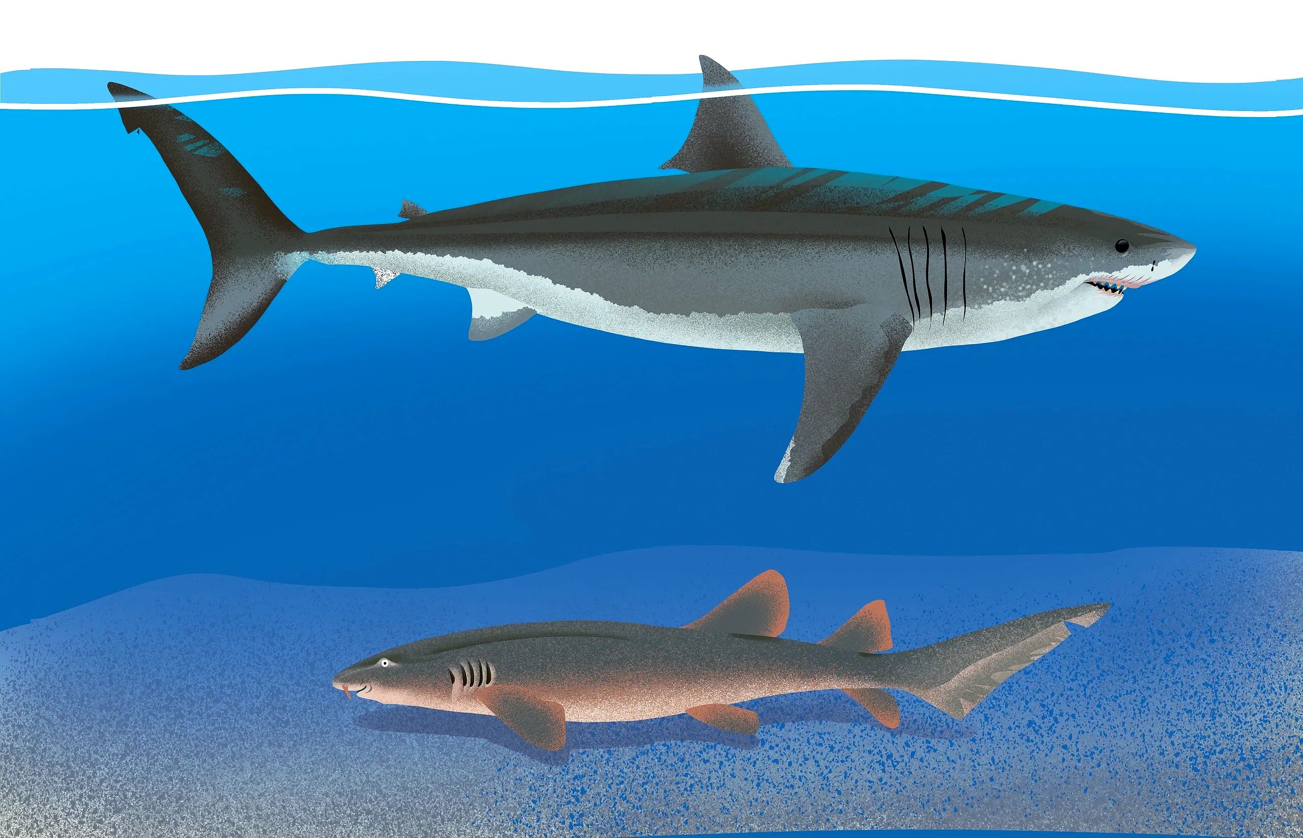 All Fish are Awesome is a new children's book about freshwater and ...