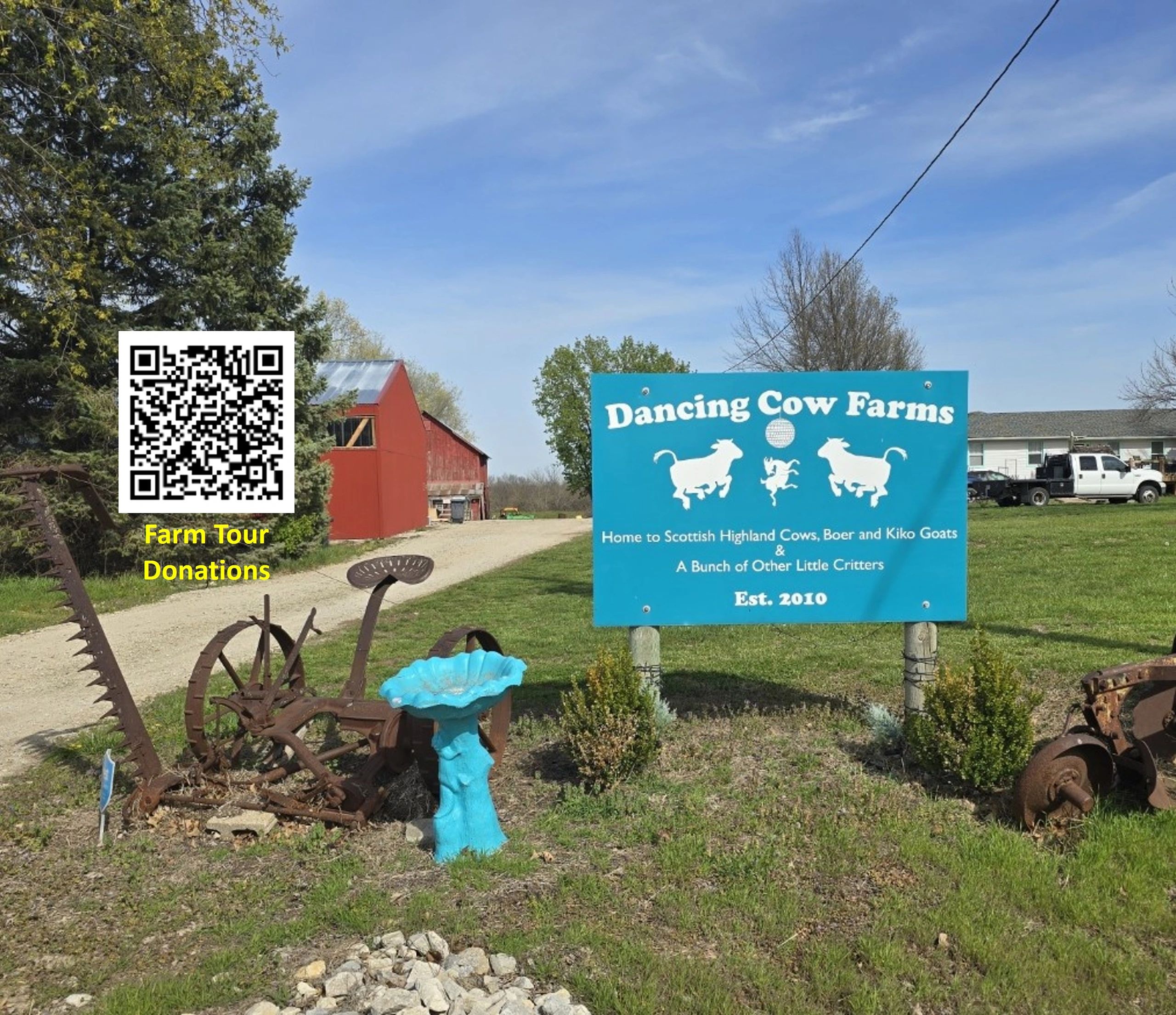 Dancing Cow Farms - Highland Cows, Beef, Farm Visits