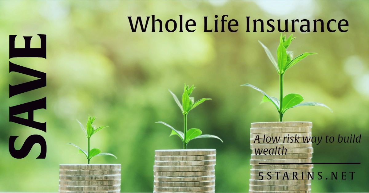 Savings Tip: Using a Life Policy to Build Wealth