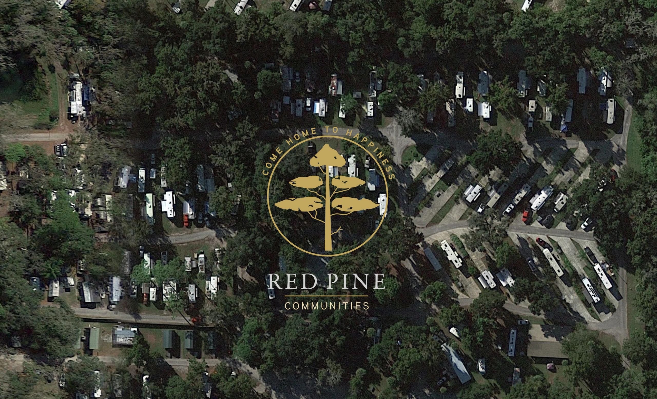 Red Pine Communities