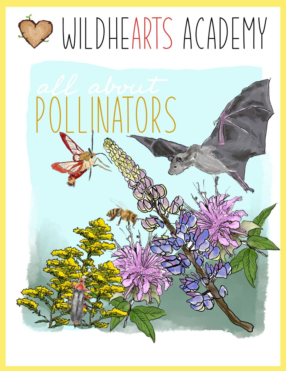 All About Pollinators