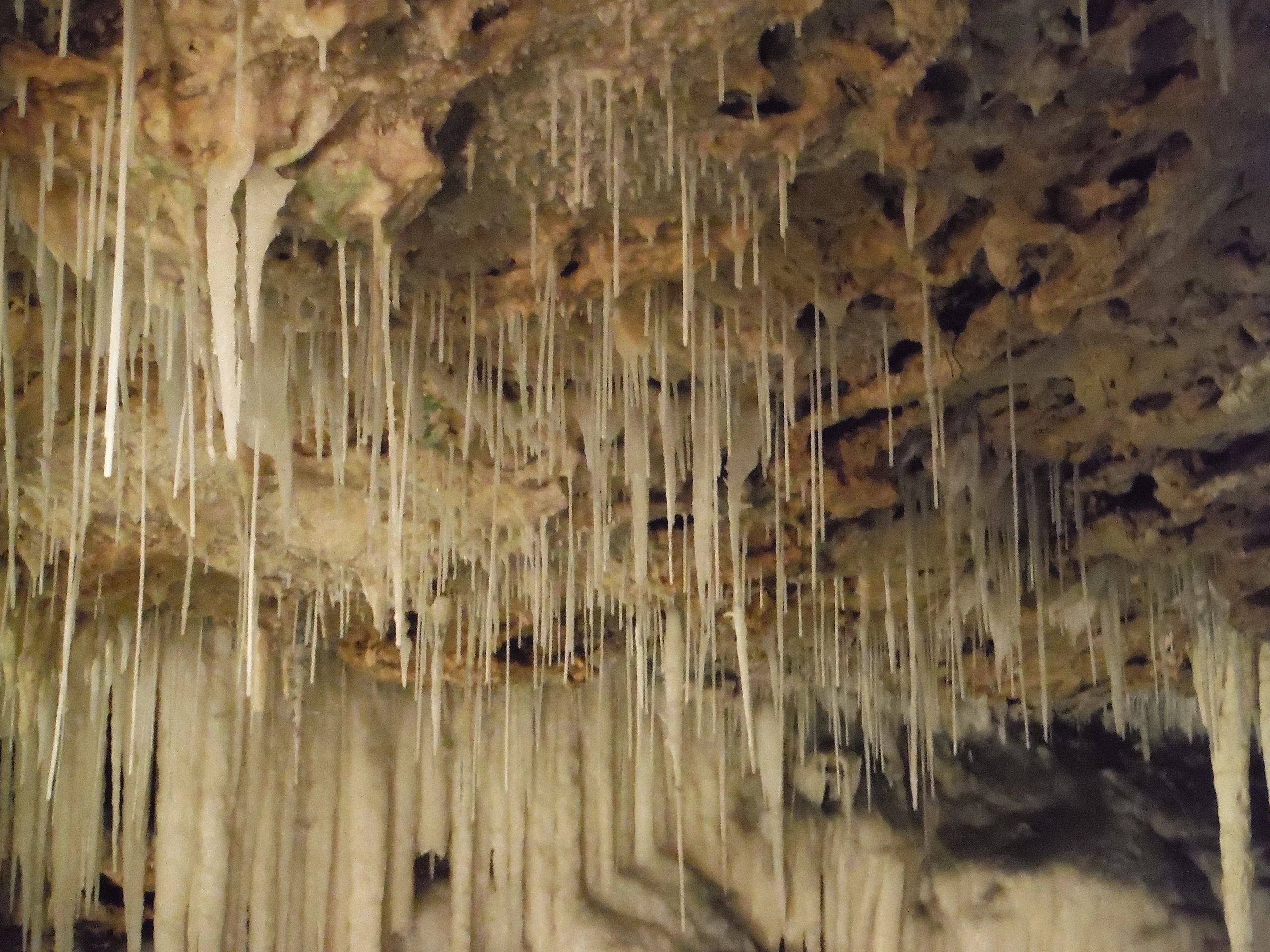 Crystal and Fantasy Caves, Bermuda