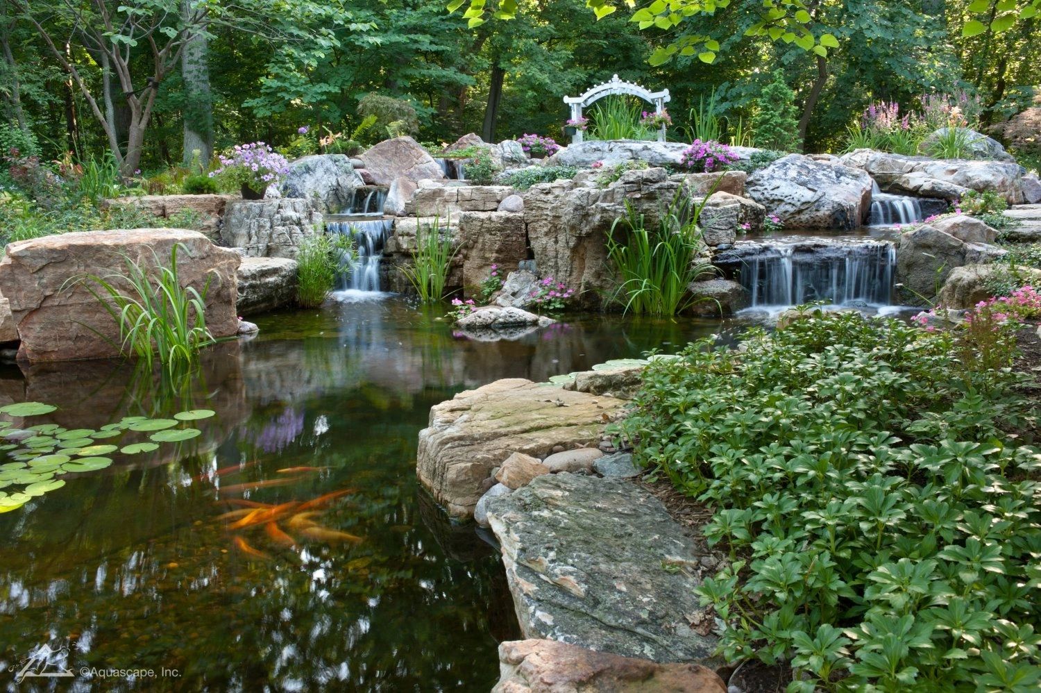 Pond Services- Cleaning and Maintenance