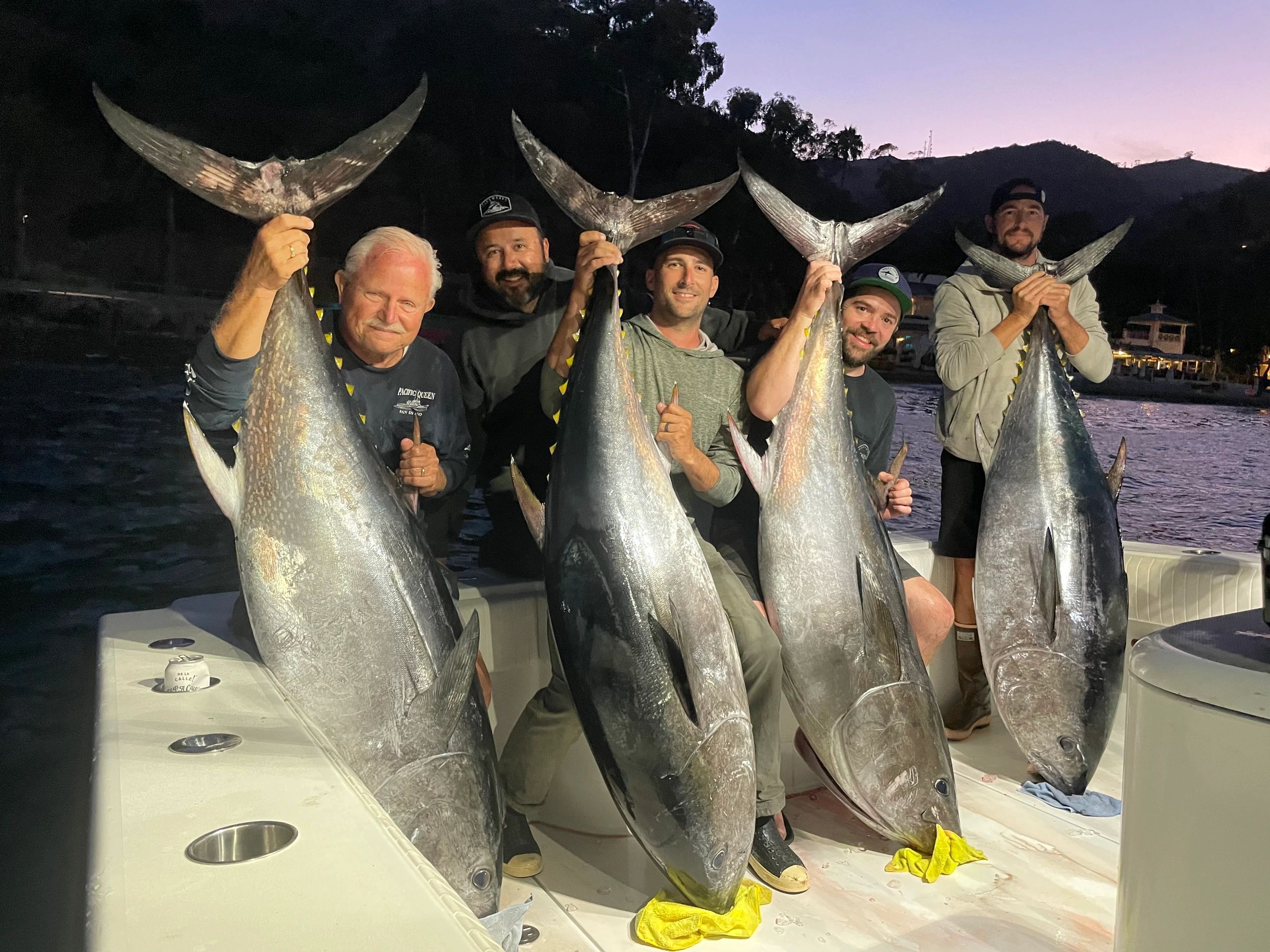 Sport Fishing and Charter Service - Bight Sportfishing
