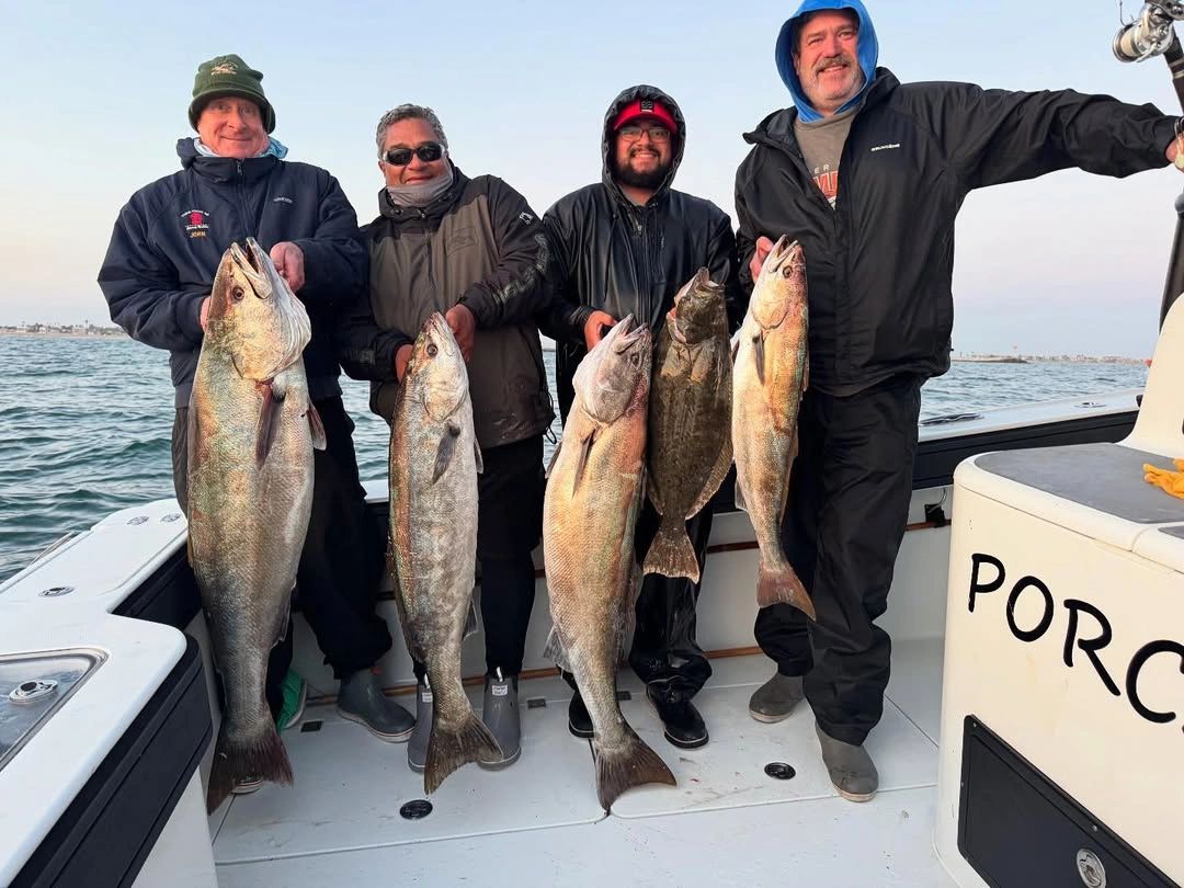 Sport Fishing and Charter Service - Bight Sportfishing