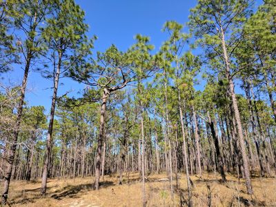 Trail Rides - Rymar Ranch | Rymar Ranch