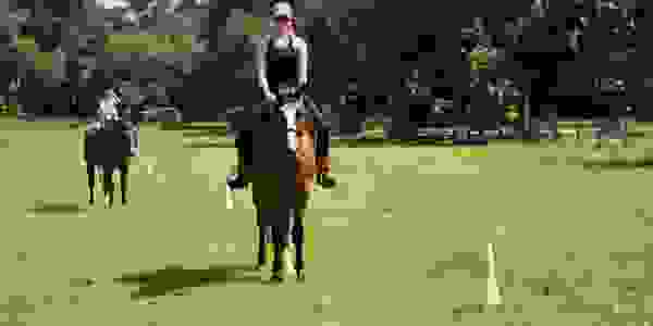 Trail Rides, Lessons, Horse Back Riding, Boarding, - Rymar Ranch