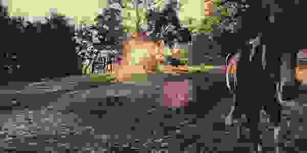 Trail Rides, Lessons, Horse Back Riding, Boarding, - Rymar Ranch