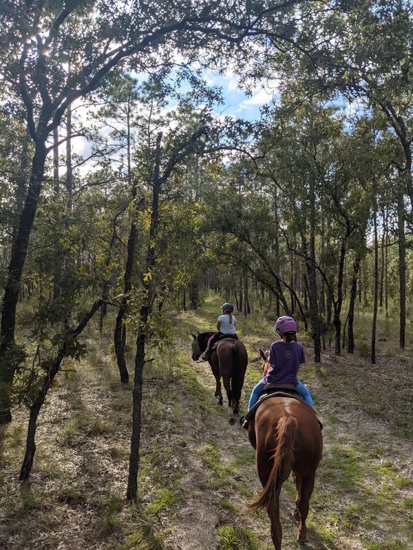 Trail Rides, Lessons, Horse Back Riding, Boarding, - Rymar Ranch