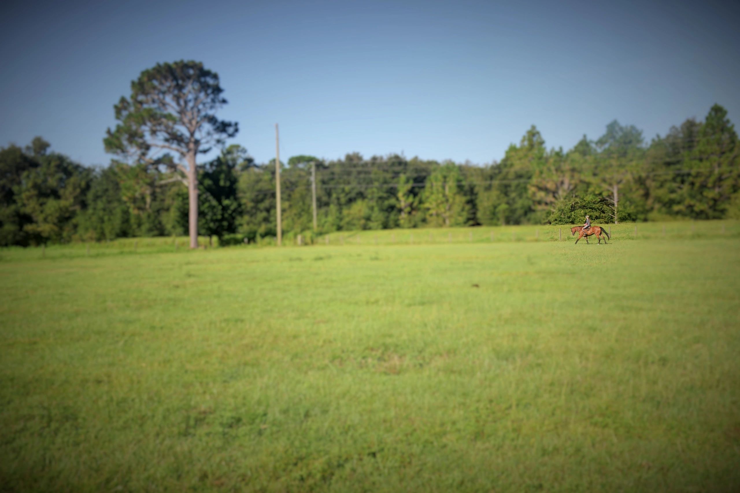 Trail Rides, Lessons, Horse Back Riding, Boarding, - Rymar Ranch