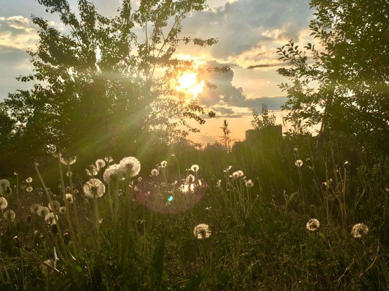 Embracing Interconnectedness: Integrated Evidential Mediumship