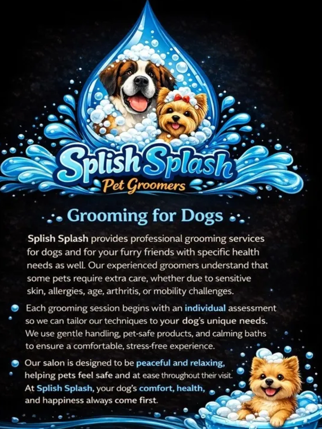Dog Grooming Services | Grooming with a Splash of Fun