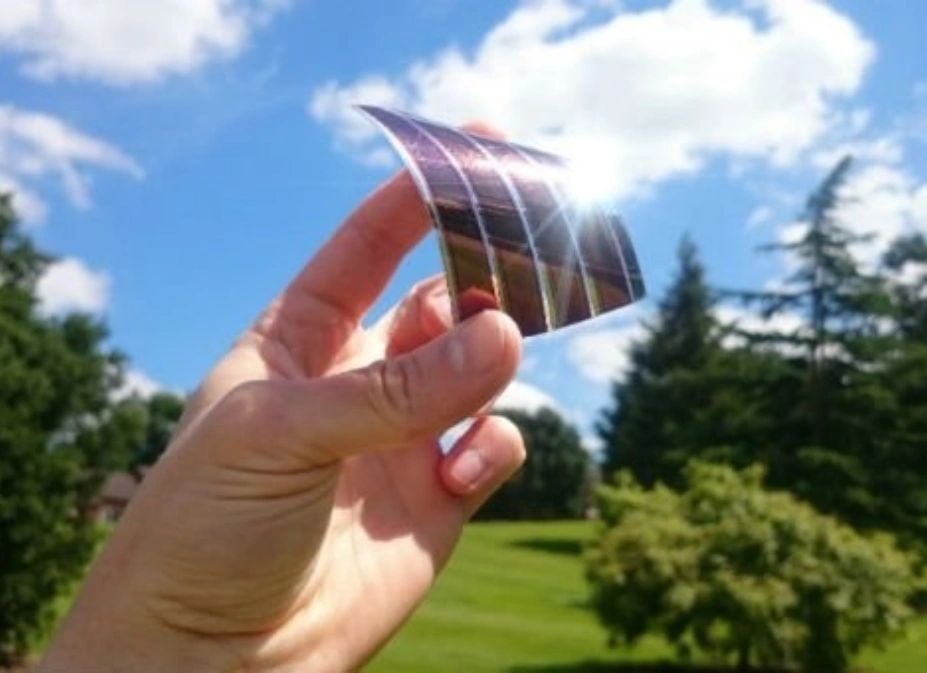 Advantages and Disadvantages of Organic Solar Panels