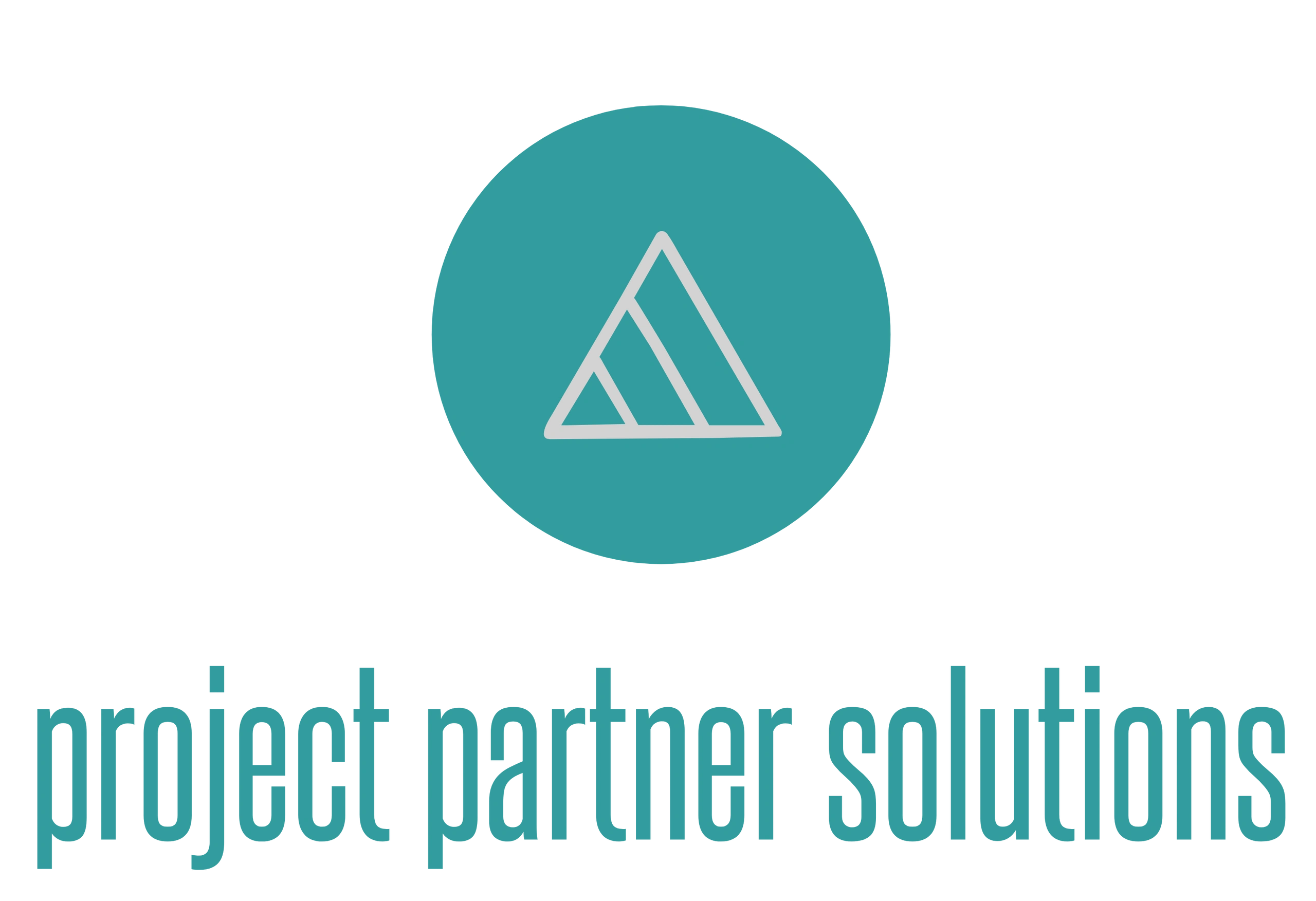 Client Solutions Project Partner Solutions Ltd