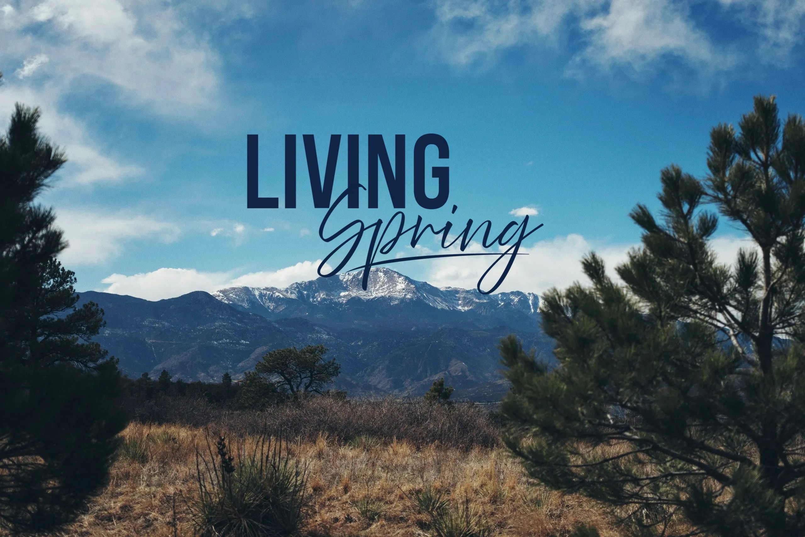 Living Spring Church