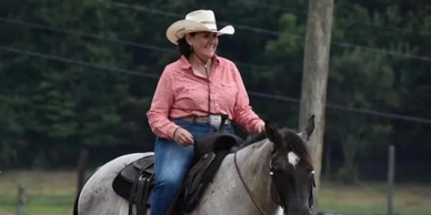 Meet your Board Members