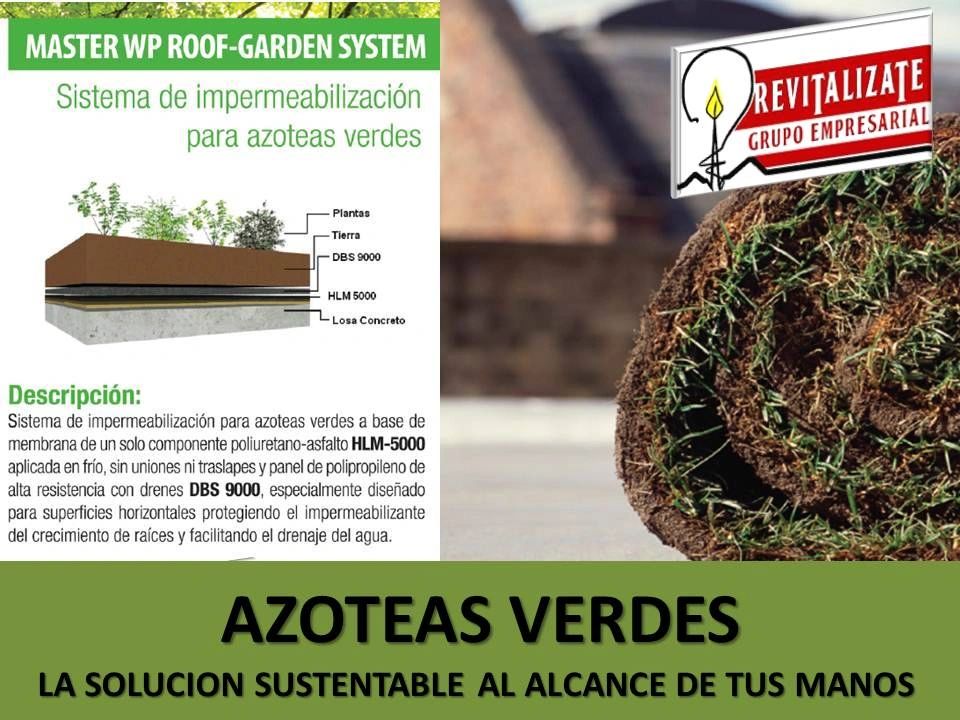 Como construir una Azotea Verde…