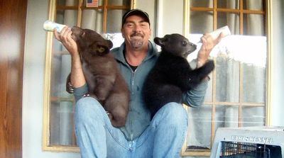 Slaney Scenic Wildlife