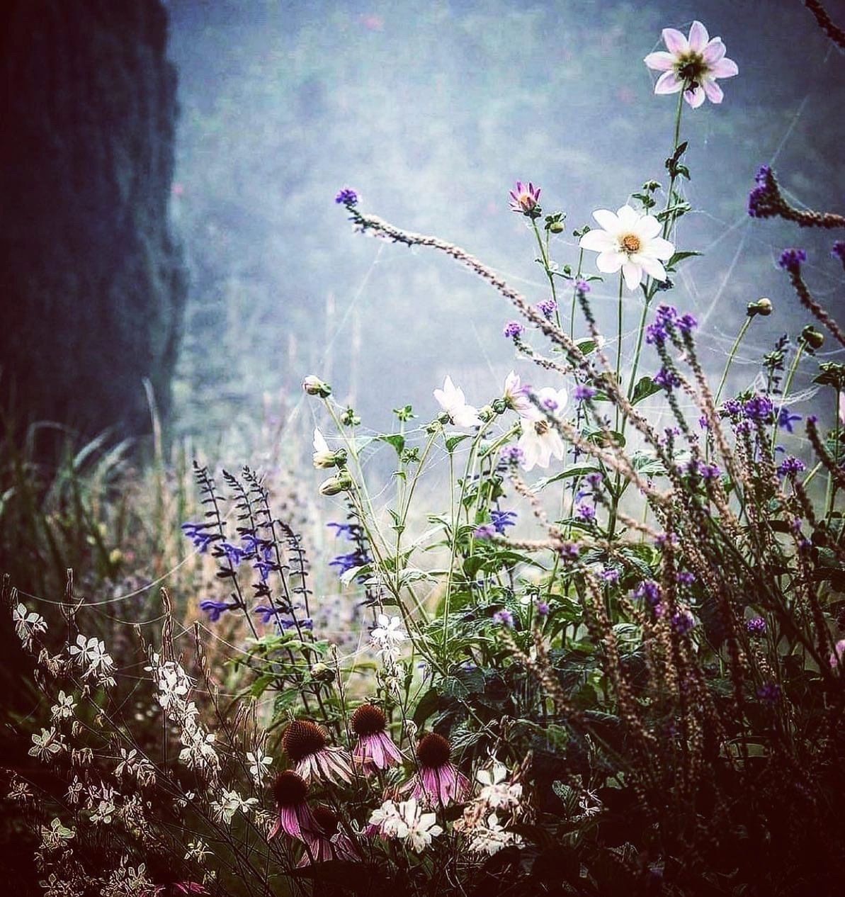 DREAM ALCHEMY BEAUTY - Home