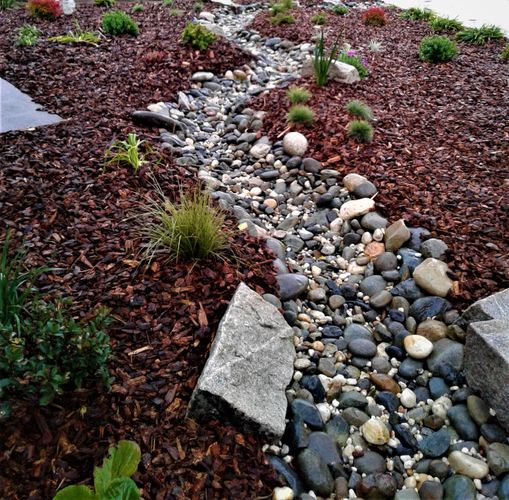 Jr Landscape and Maintenance - Landscape, Maintenance