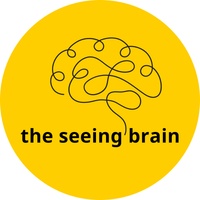 the seeing brain