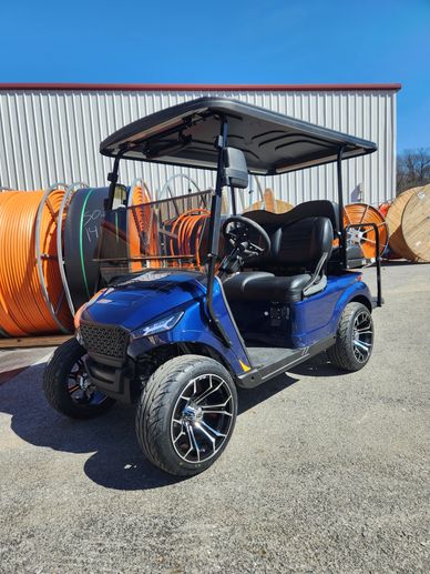 HOME [cmegolfcarts.com]